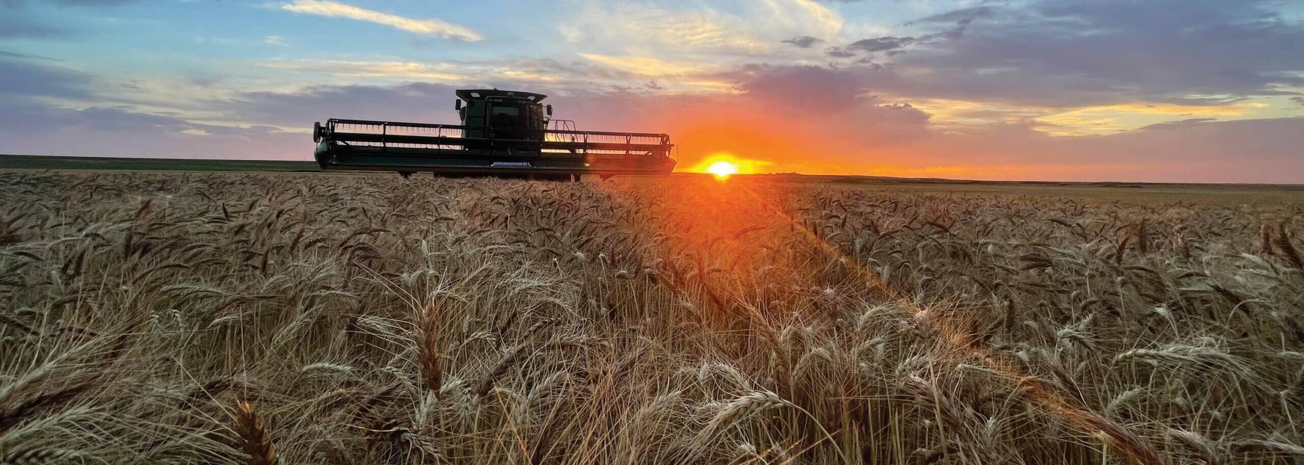 Colorado Wheat Growers