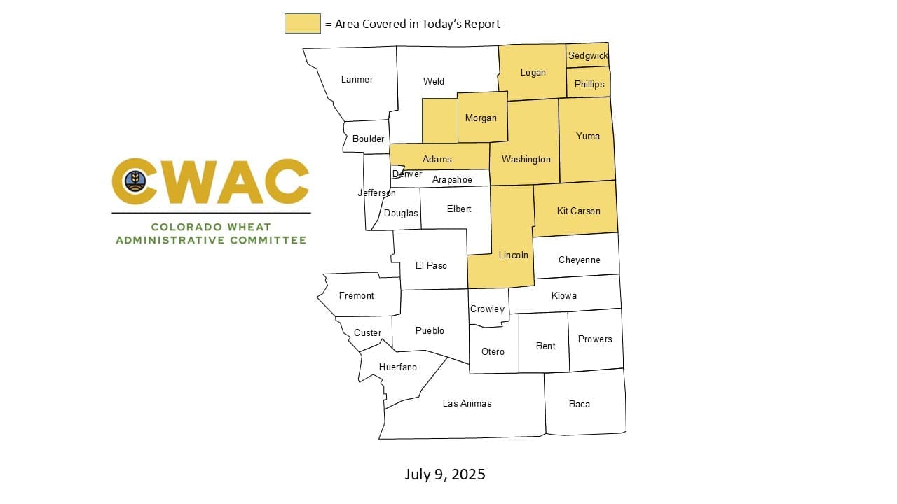 2025 Colorado Wheat Harvest Report | Colorado Wheat