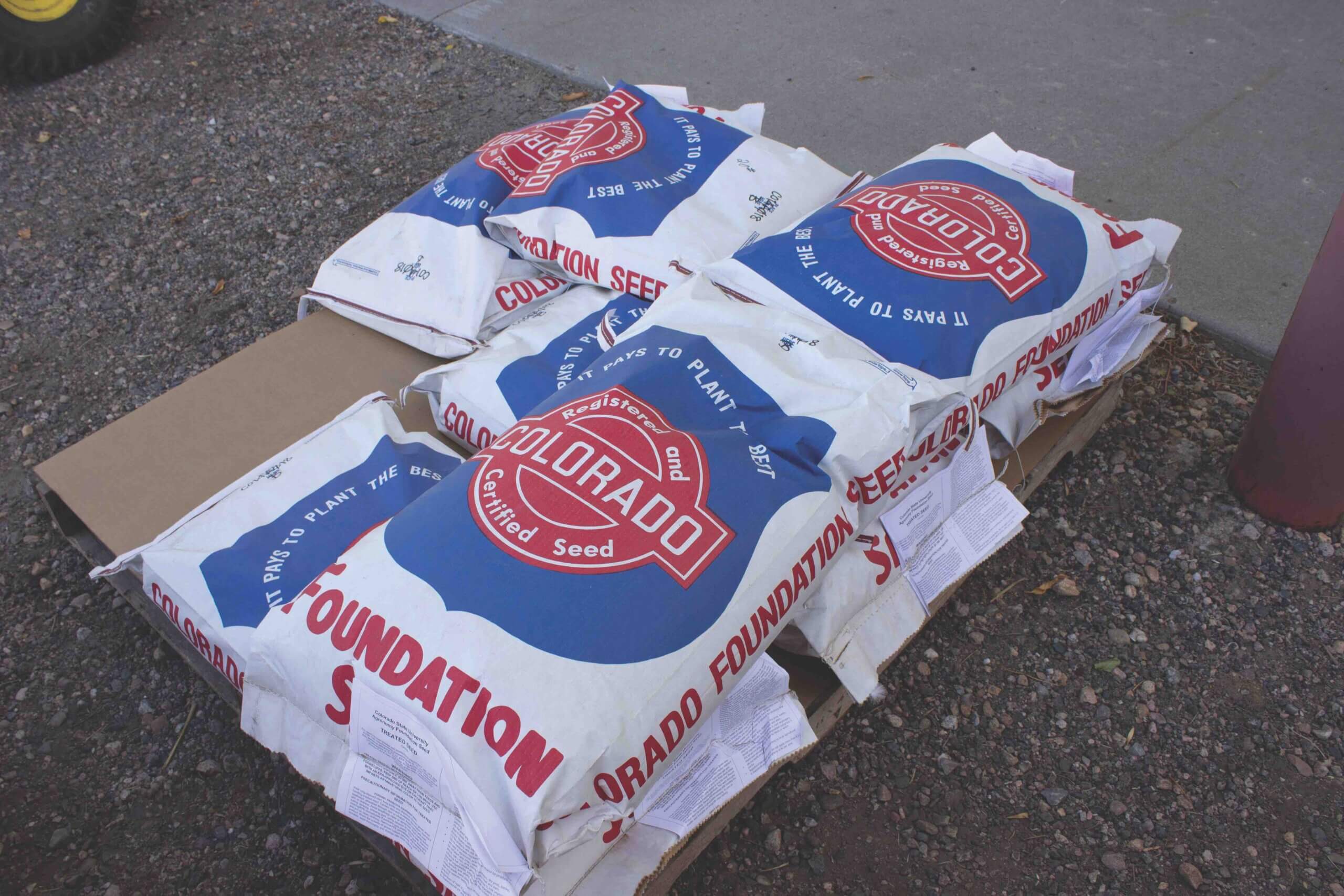 Foundation Seed | Colorado Wheat