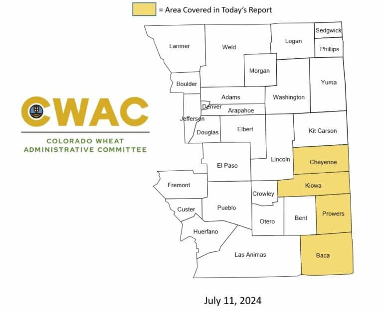 2024 Colorado Wheat Harvest Report | Colorado Wheat