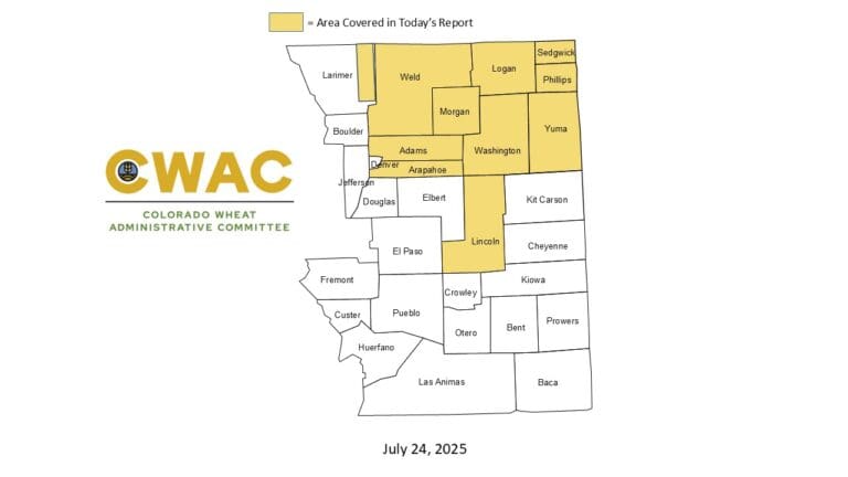 2025 Colorado Wheat Harvest Report | Colorado Wheat