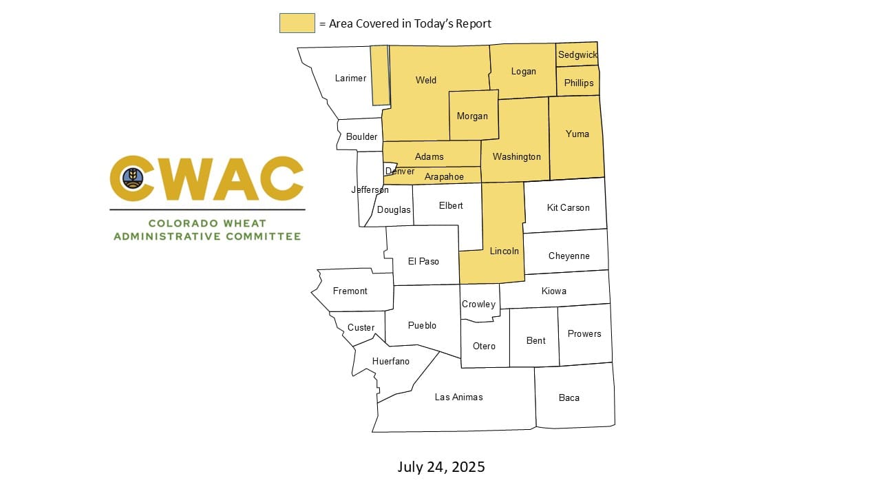 2025 Colorado Wheat Harvest Report | Colorado Wheat